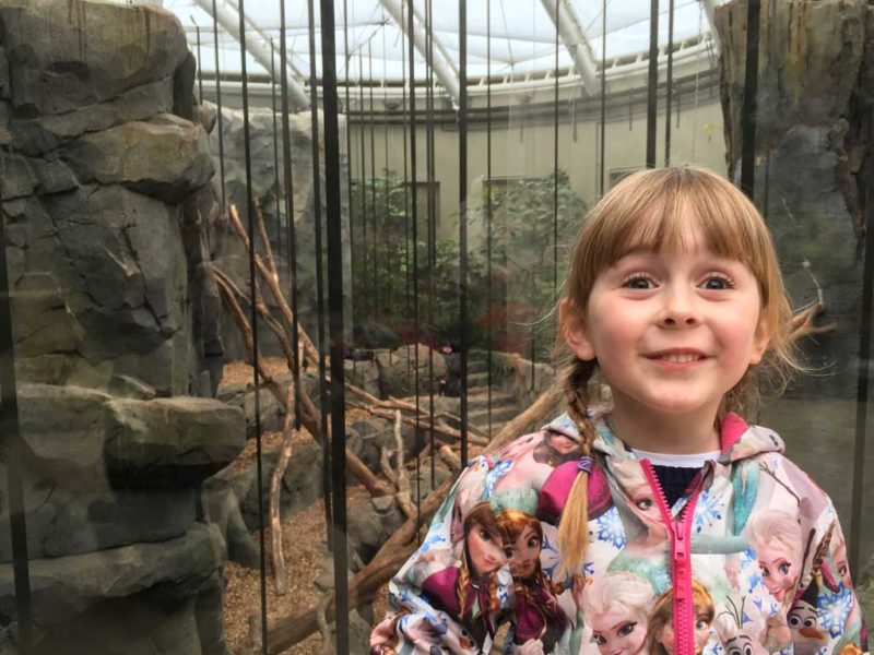 Chester Zoo Review – You need to visit | Family Travel Blog