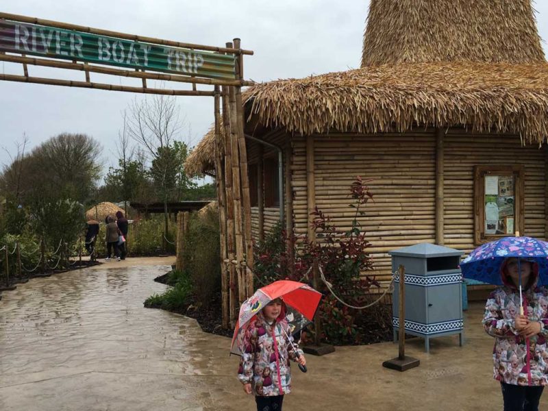 Chester Zoo Review – You need to visit | Family Travel Blog