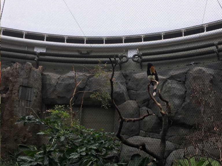 Chester Zoo Review – You need to visit | Family Travel Blog