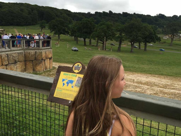 Longleat Safari Park – You need to visit | Family Travel Blog