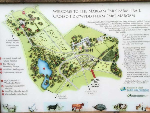 Margam Country Park – You need to visit | Family Travel Blog