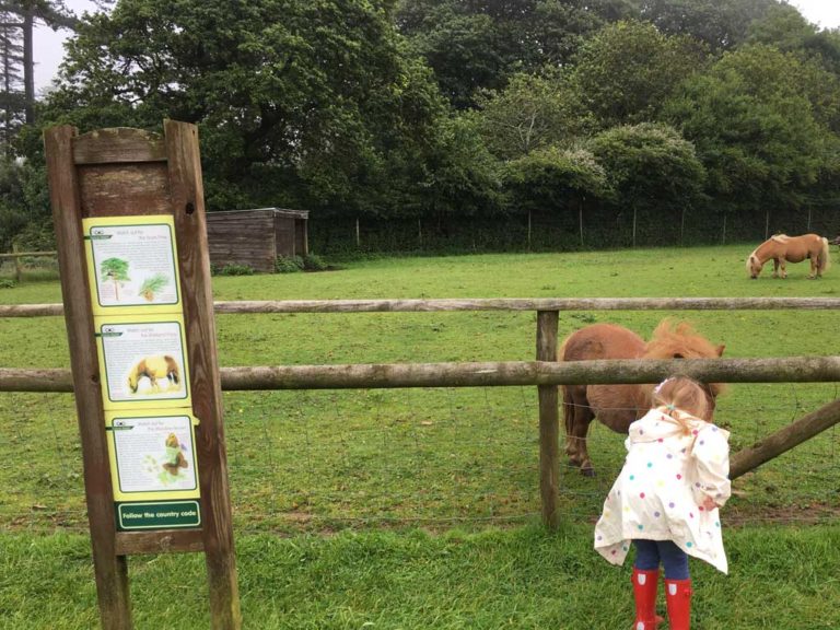 Margam Country Park – You need to visit | Family Travel Blog