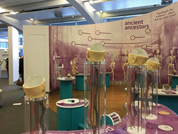 A great day learning At-Bristol Science Centre – You need to visit ...