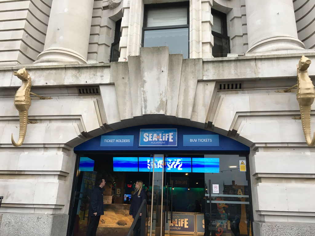 Sea Life London Aquarium Review – You need to visit | Family Travel Blog