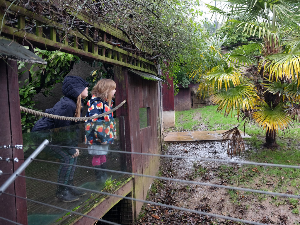 Bristol Zoo Gardens - Review – You need to visit | Family Travel Blog