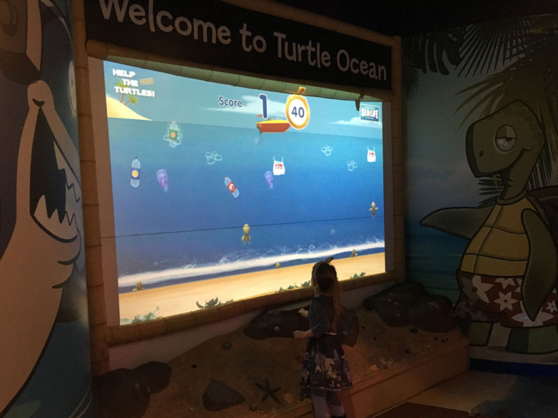 Sea Life Manchester Aquarium - Review – You need to visit | Family ...