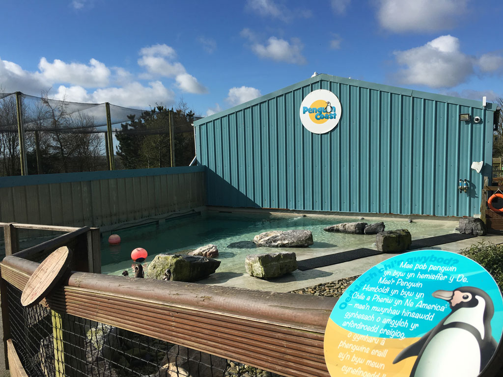 Folly Farm Adventure Park and Zoo Review – You need to visit | Family ...