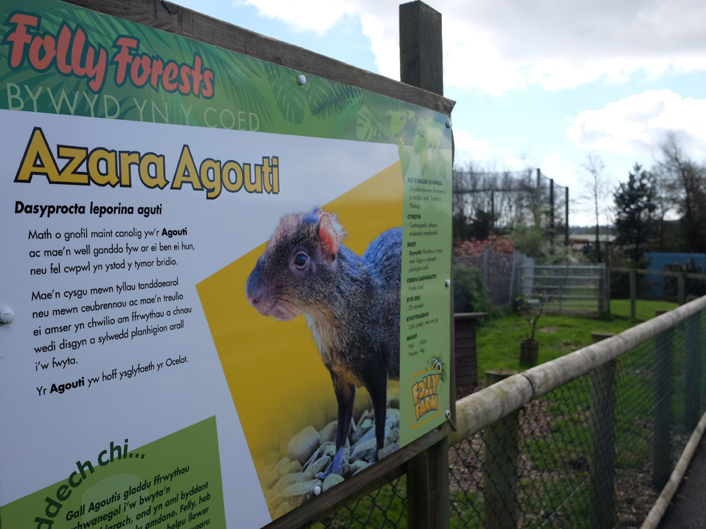 Folly Farm Adventure Park and Zoo Review – You need to visit | Family ...