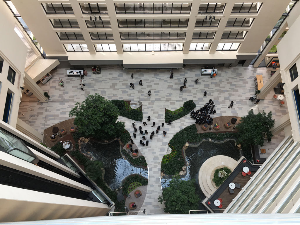 Hyatt Regency Grand Cypress Review – You need to visit | Family Travel Blog
