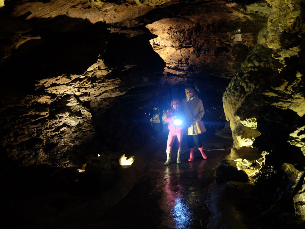 National Showcaves Centre for Wales – Dan yr Ogof Review – You need to ...