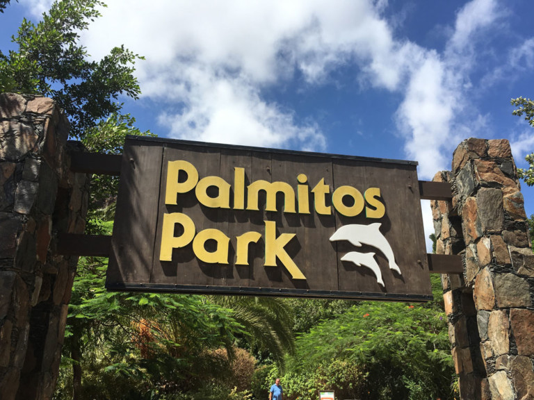 Your Guide to Palmitos Park - Gran Canaria – You need to visit | Family ...