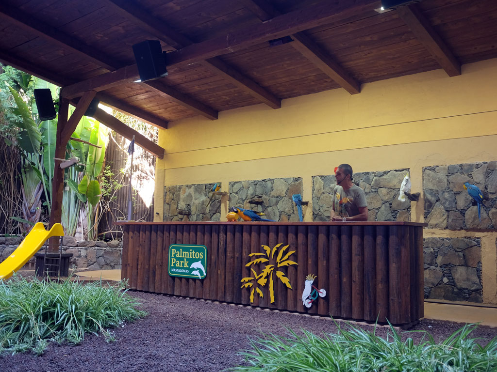 Your Guide to Palmitos Park - Gran Canaria – You need to visit | Family ...