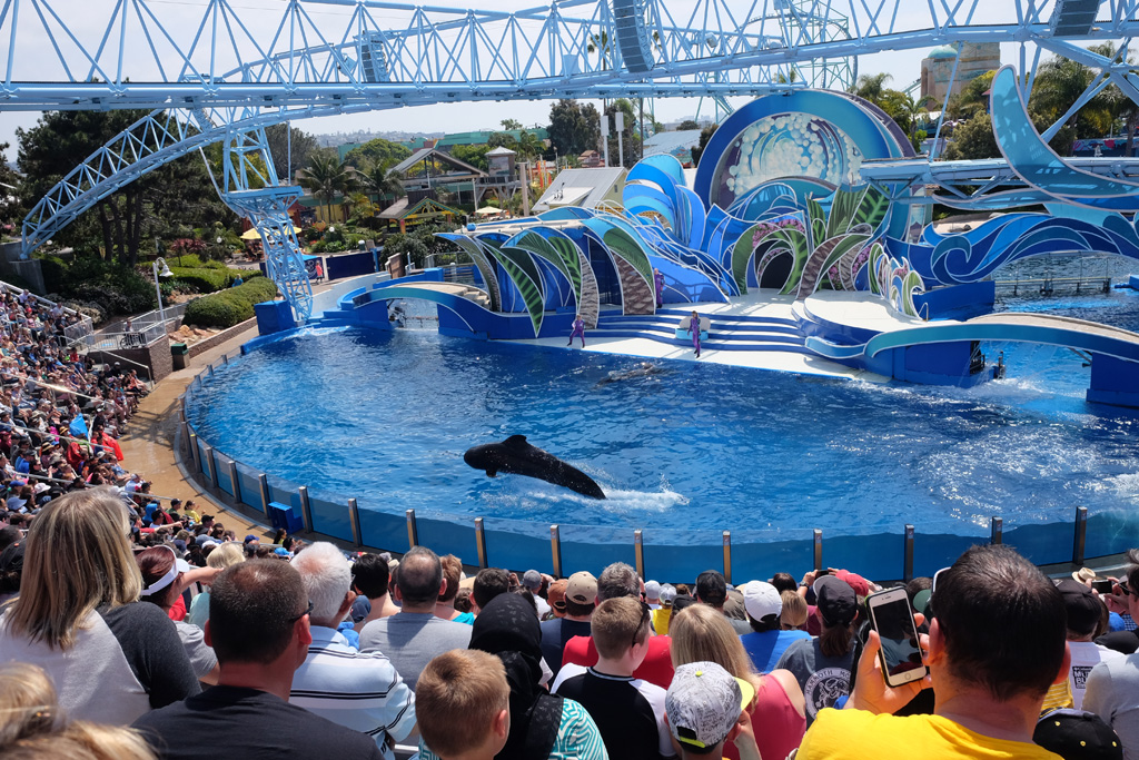 Review - Seaworld San Diego – You need to visit | Family Travel Blog