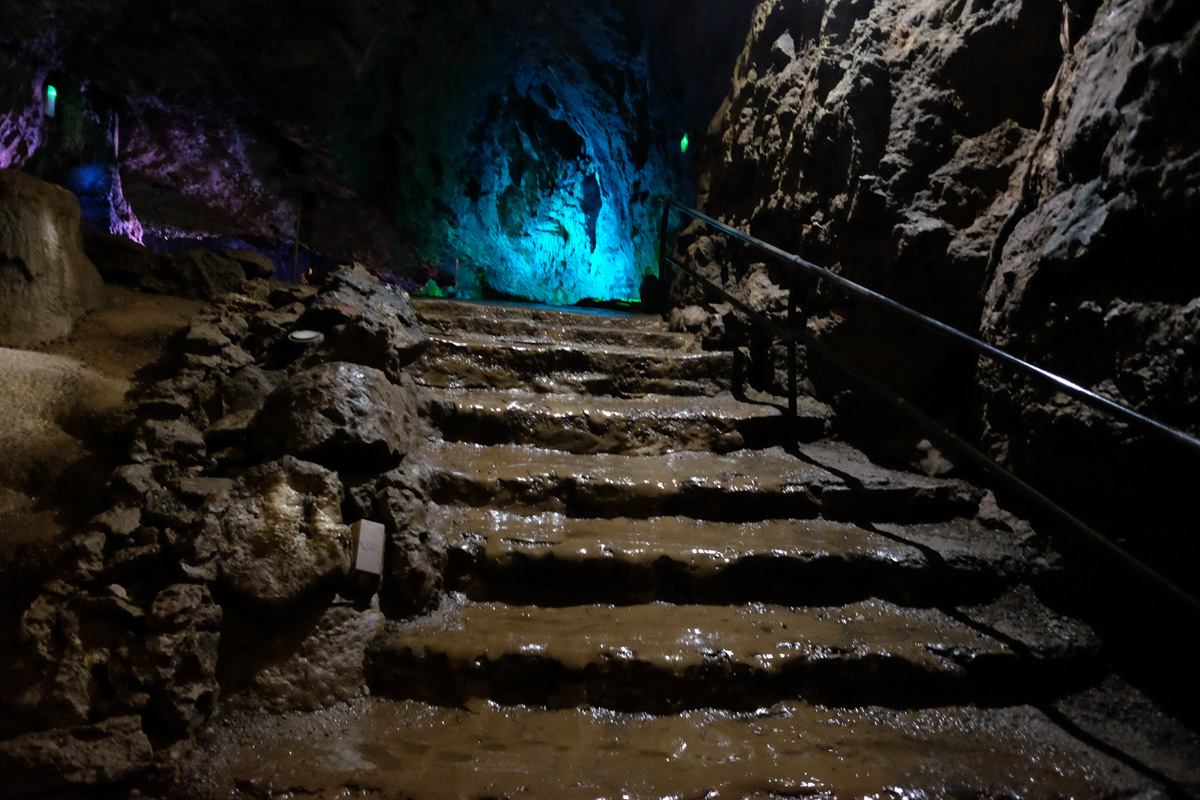 Review - Our day at Wookey Hole Caves – You need to visit | Family ...