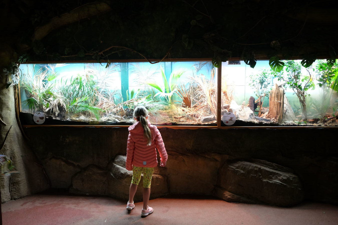 Marwell Zoo Review – You need to visit | Family Travel Blog