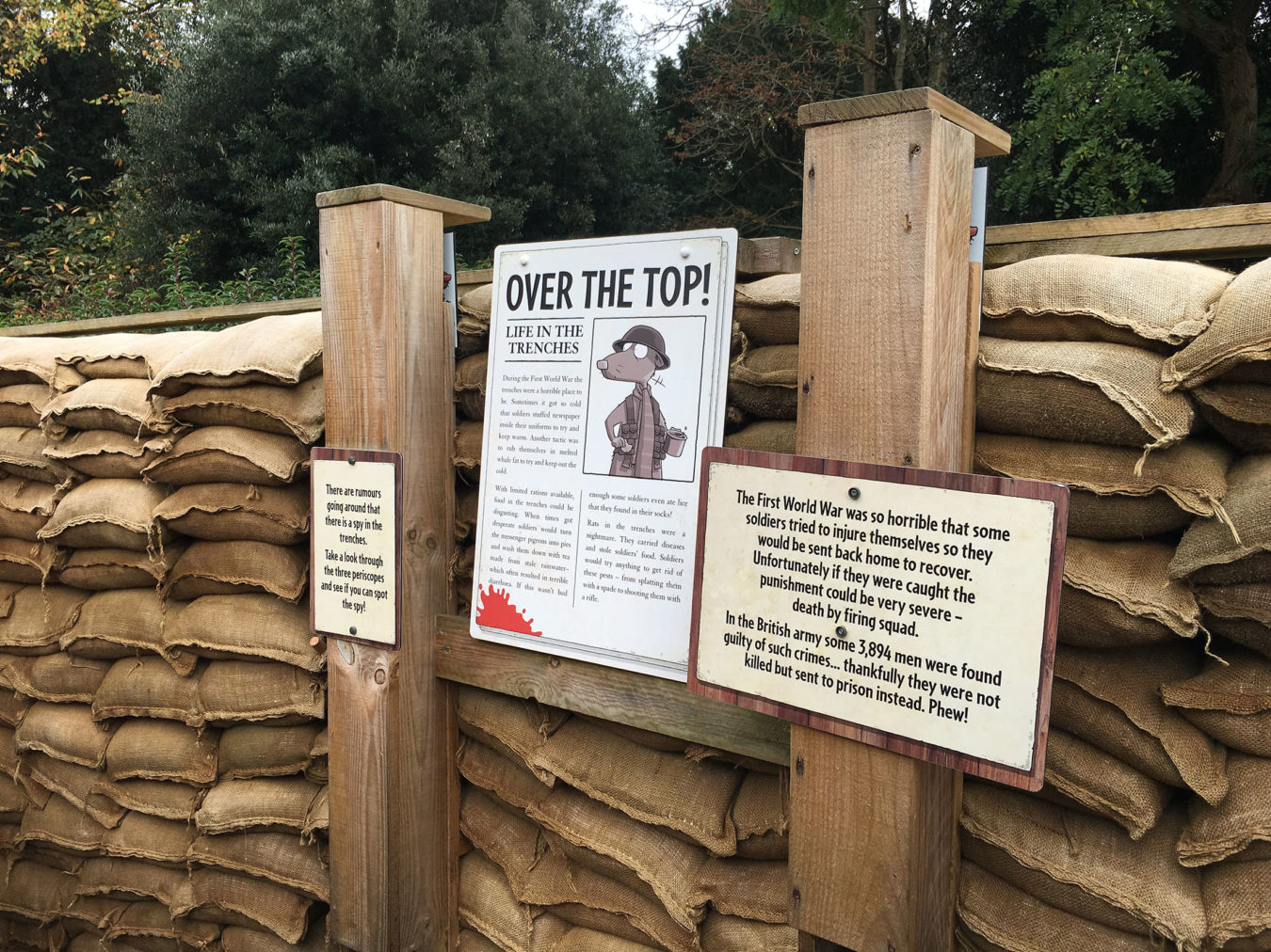 Best Mazes in the UK to Complete – You need to visit | Family Travel Blog