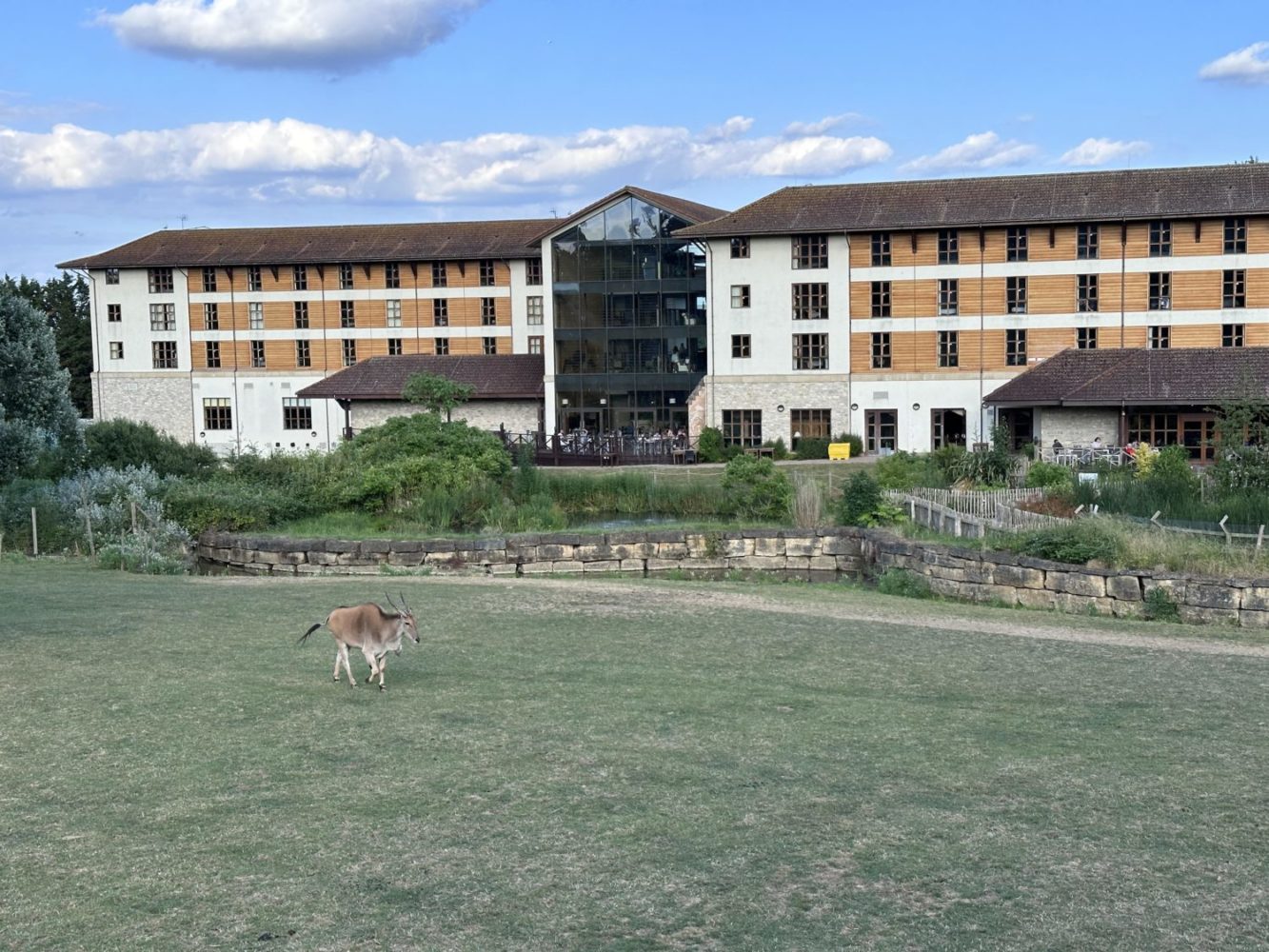 Hotel Review : Chessington Safari and Azteca hotel – You need to visit ...