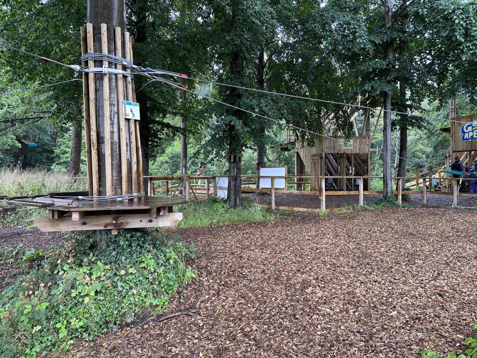 Review - Go Ape Dalkeith Country Park – You need to visit | Family ...