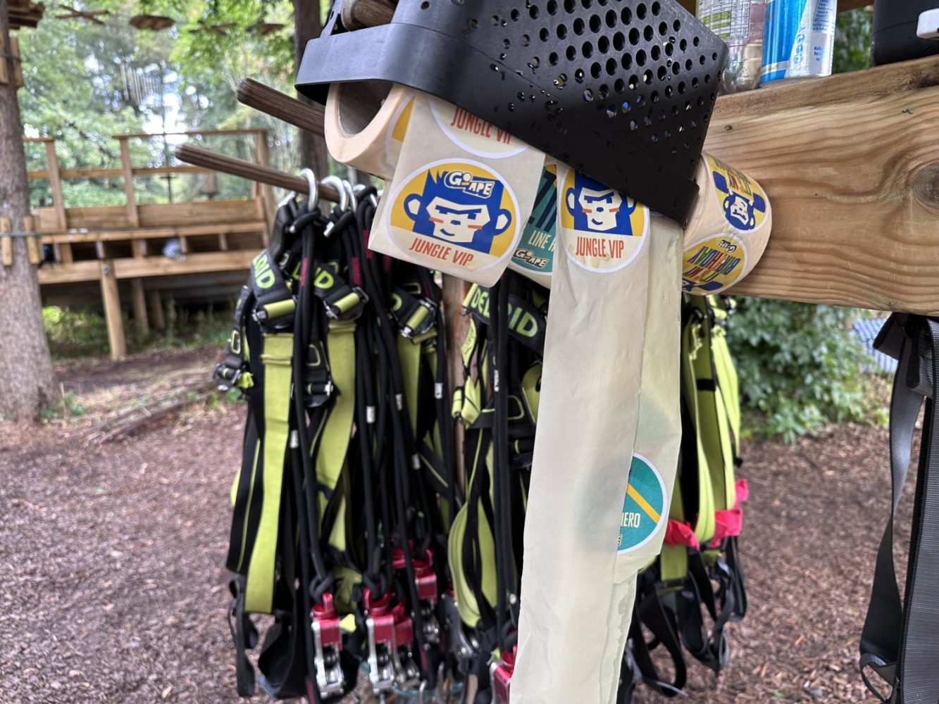 Review - Go Ape Dalkeith Country Park – You need to visit | Family ...