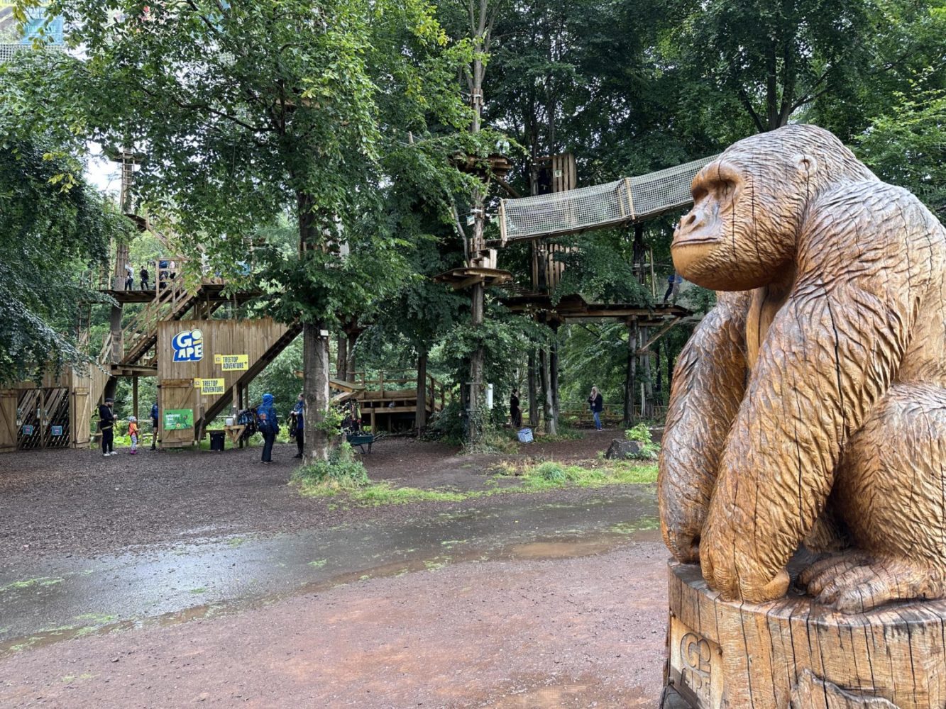 Review - Go Ape Dalkeith Country Park – You need to visit | Family ...