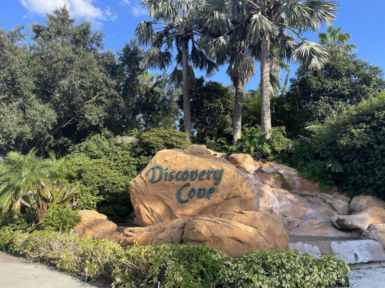 Why you should visit Discovery Cove Orlando - A detailed guide – You ...