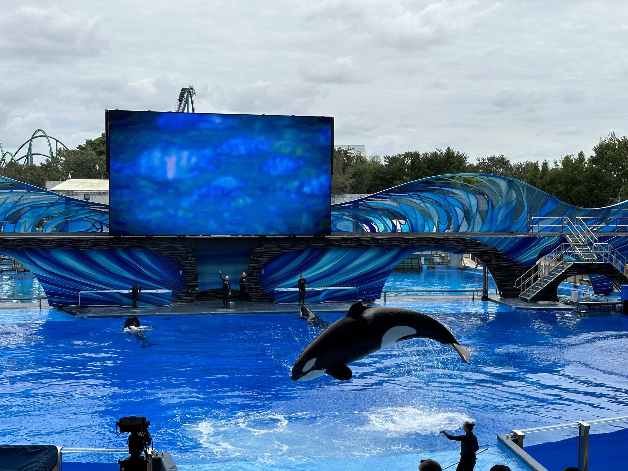A day at Seaworld Orlando - Detailed Review – You need to visit ...