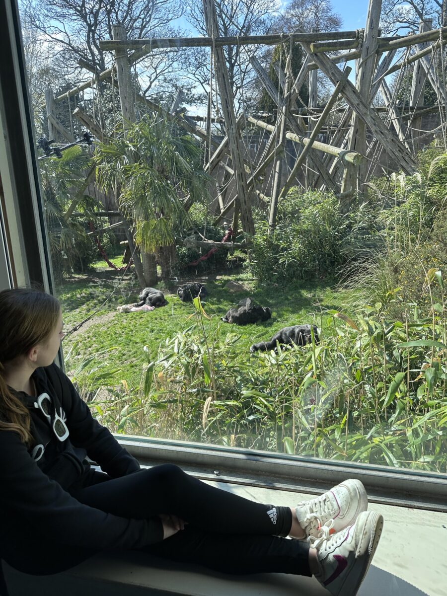 A local's guide to visiting Edinburgh - 25+ things to see and do in ...